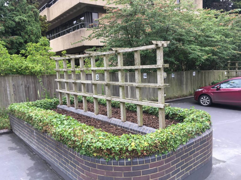 Commercial Maintenance Projects | Boundary Landscapes